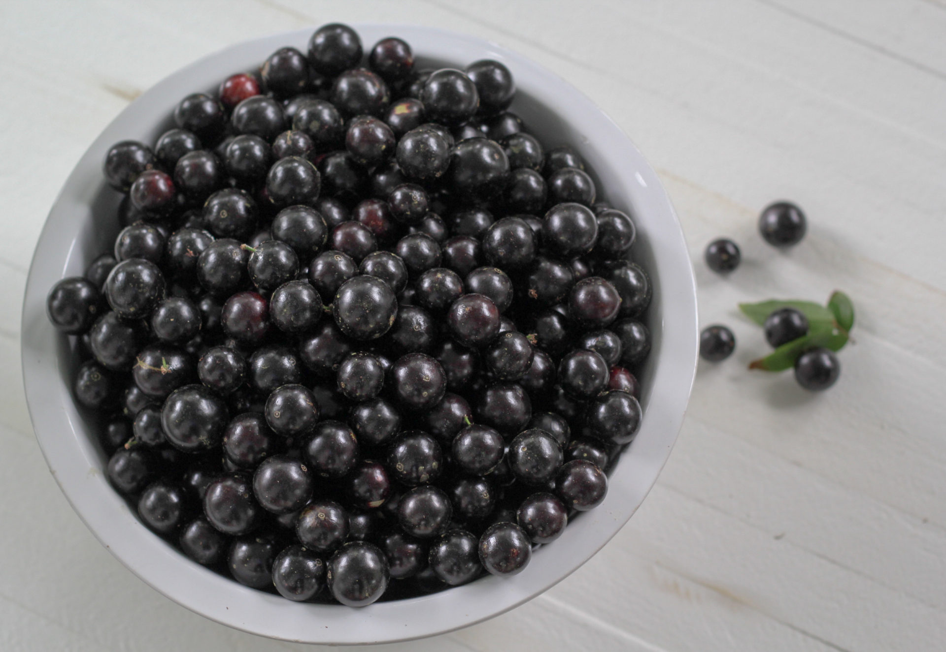 Jaboticaba Jelly - Suwannee Rose